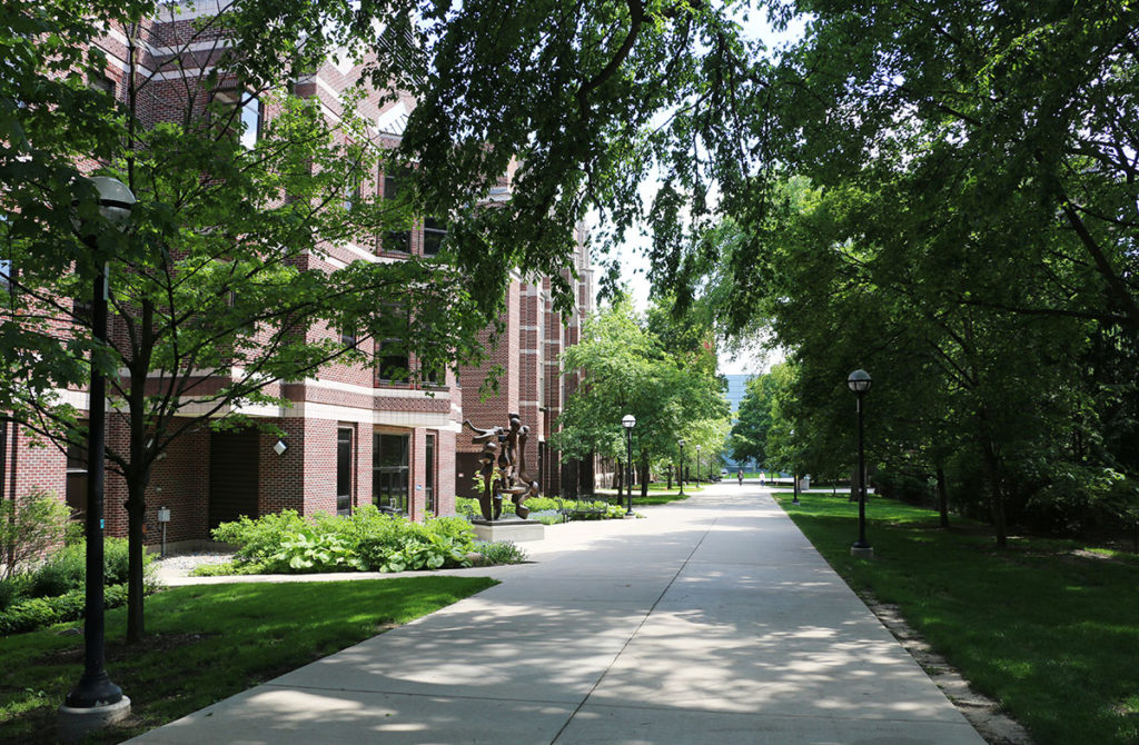 5 excelentes razones para visitar Ann Arbor, Michigan | COMPLOT Magazine